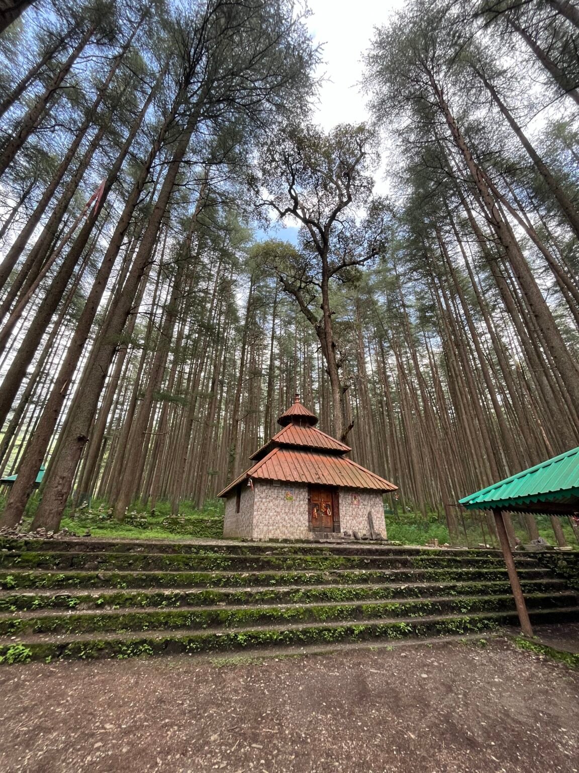 Discovering Devalsari: A Biodiversity Haven and Cultural Treasure in ...
